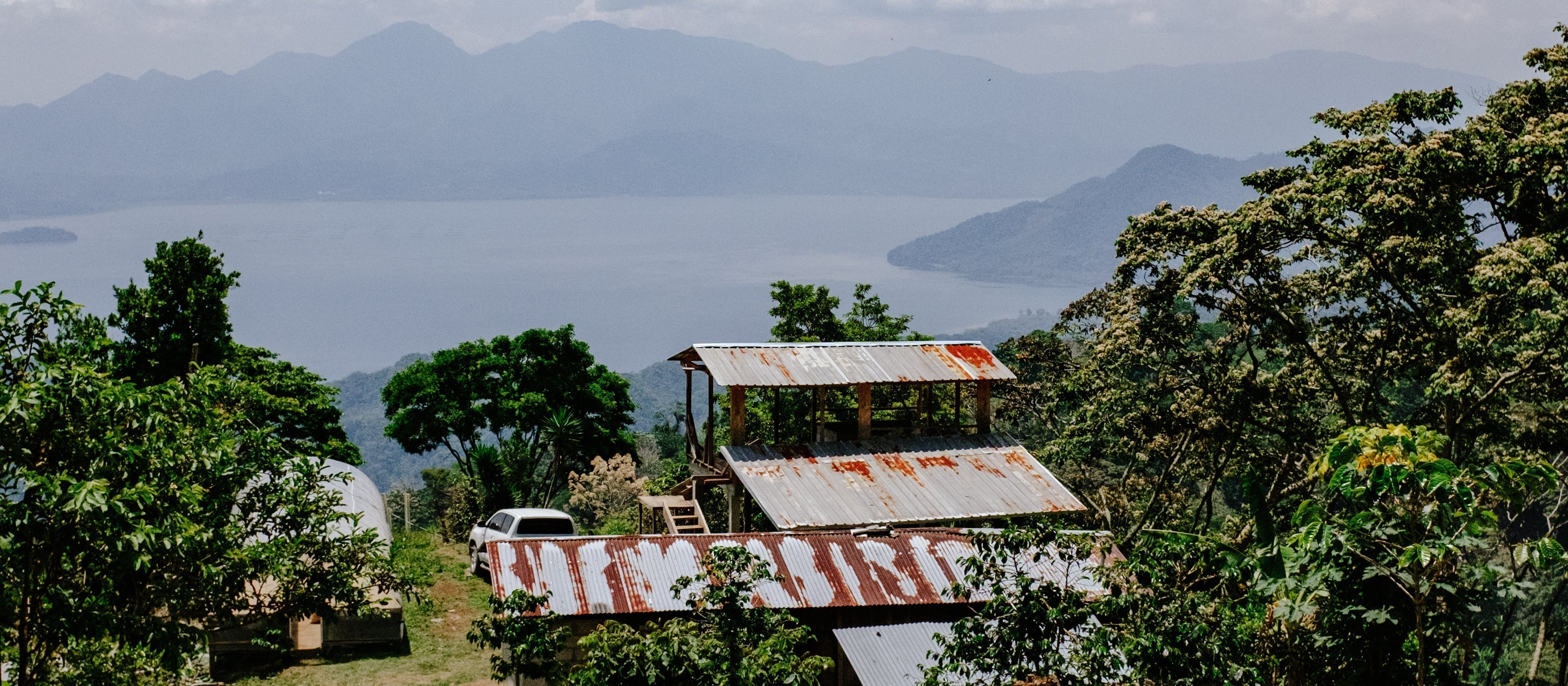 Coffee Producer Highlight - Roberto Sabillon